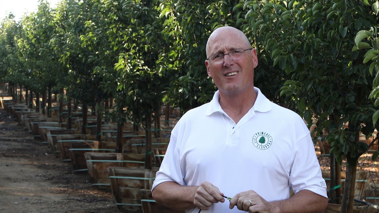 Introduction to the Spot-Spitter - YouTube