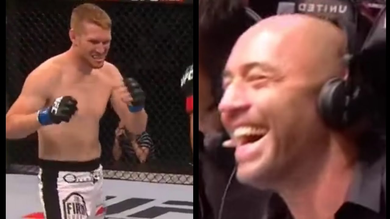 3 Legendary shouts from fans in ufc 😂 - YouTube