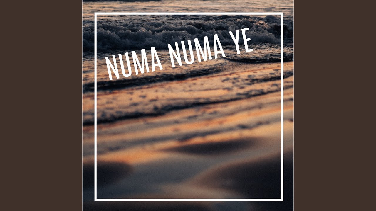 Numa Numa Ye (Remix) - YouTube