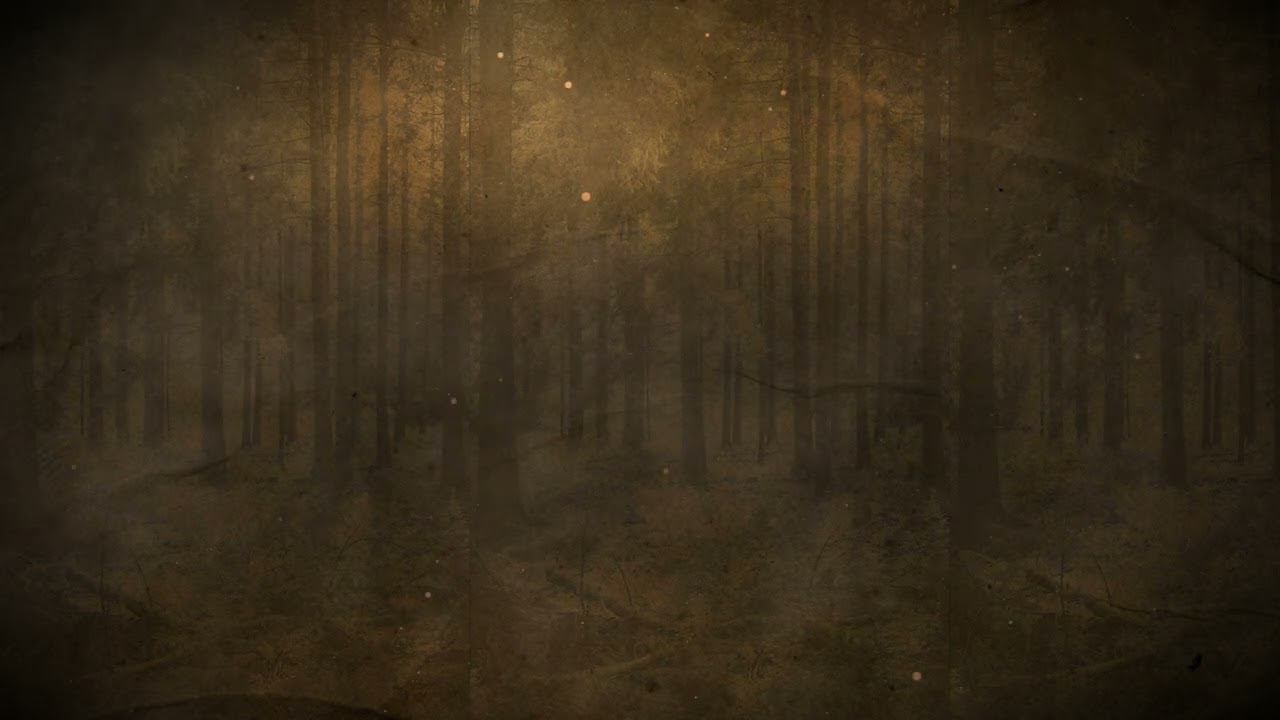 tree background video , 4K Fantasy Tree ,Into The Nature |Cinematic ...