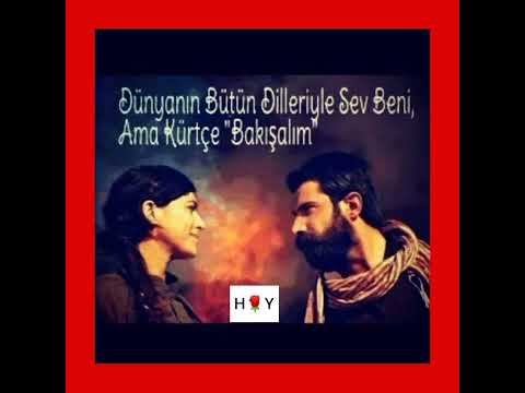 Kürtçe harika 9(💐💐💐💐💐)