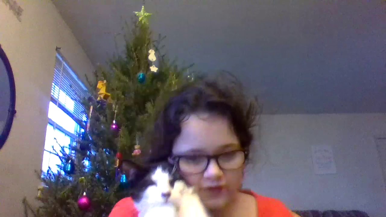 My cat *tries* to say hewo.. =^-^= - YouTube