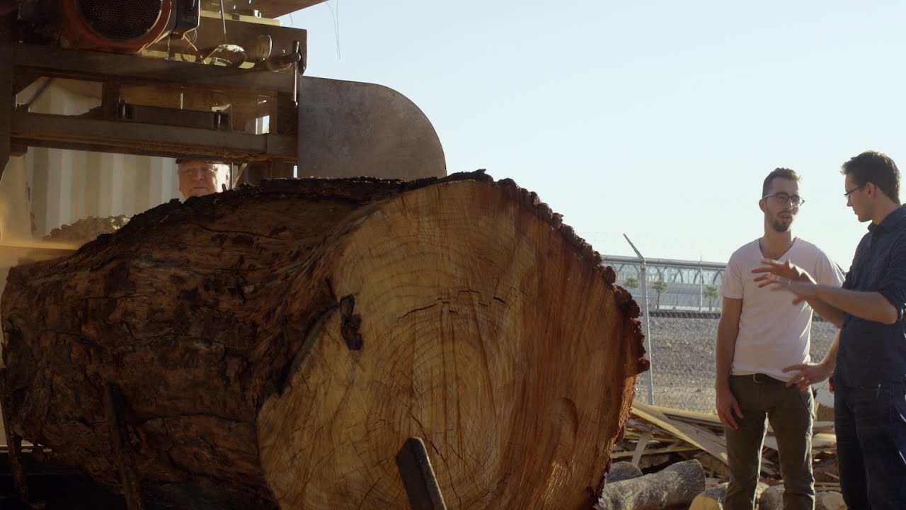 [Trailer] Felled - A documentary film about giving new life to fallen ...