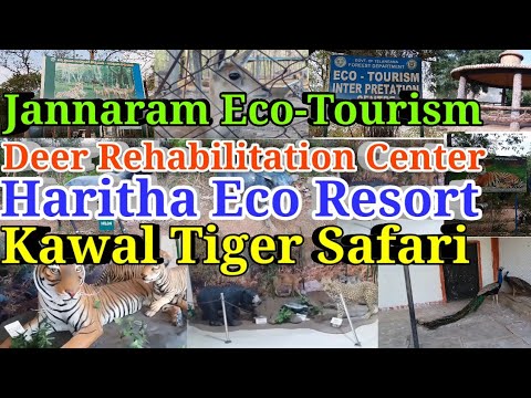 Jannaram Forest | Kawal Tiger Safari Trip | Eco-tourism | Jannaram ...