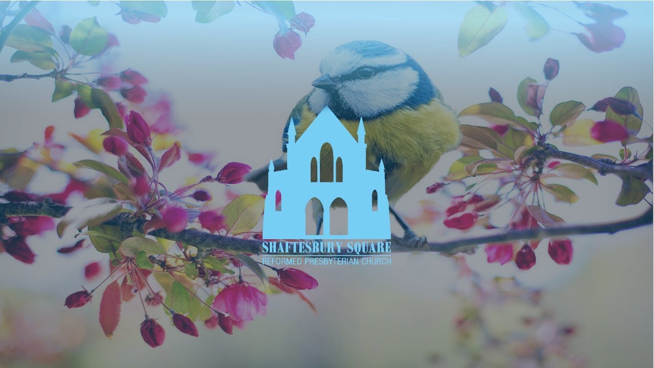 Whose neighbour am I?, Luke 10:25-37, SSRPC 9/4/23 Evening Service ...