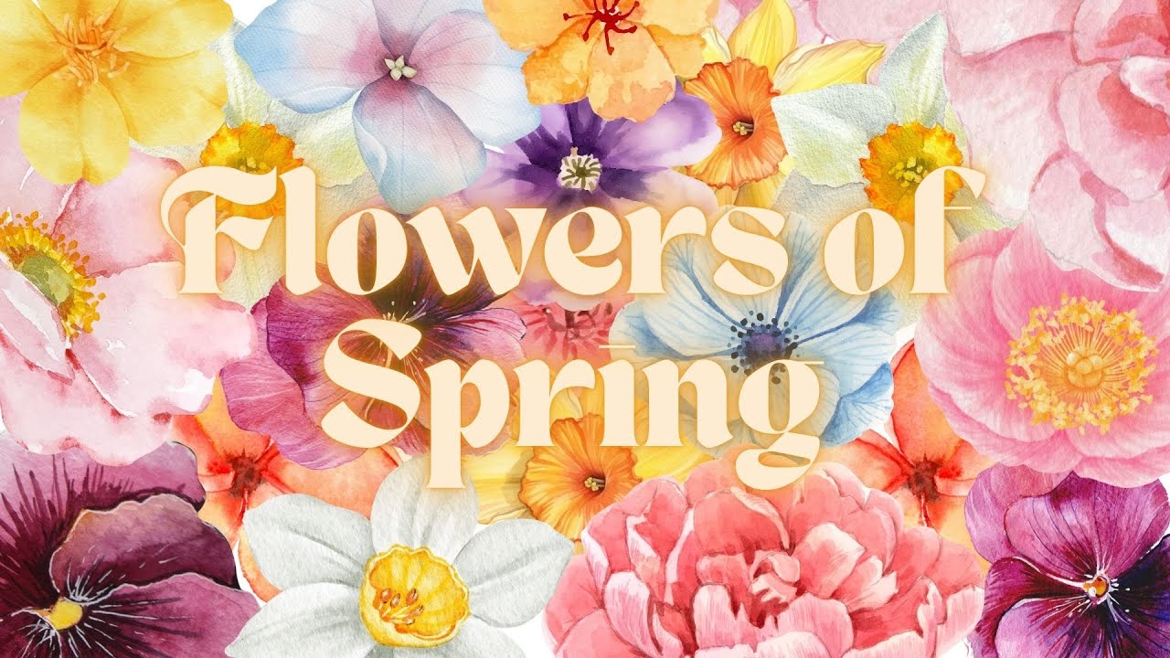 🌸 Spring Flowers Song 🌼 | Learn Flower Names & Sing Along for Kids ...