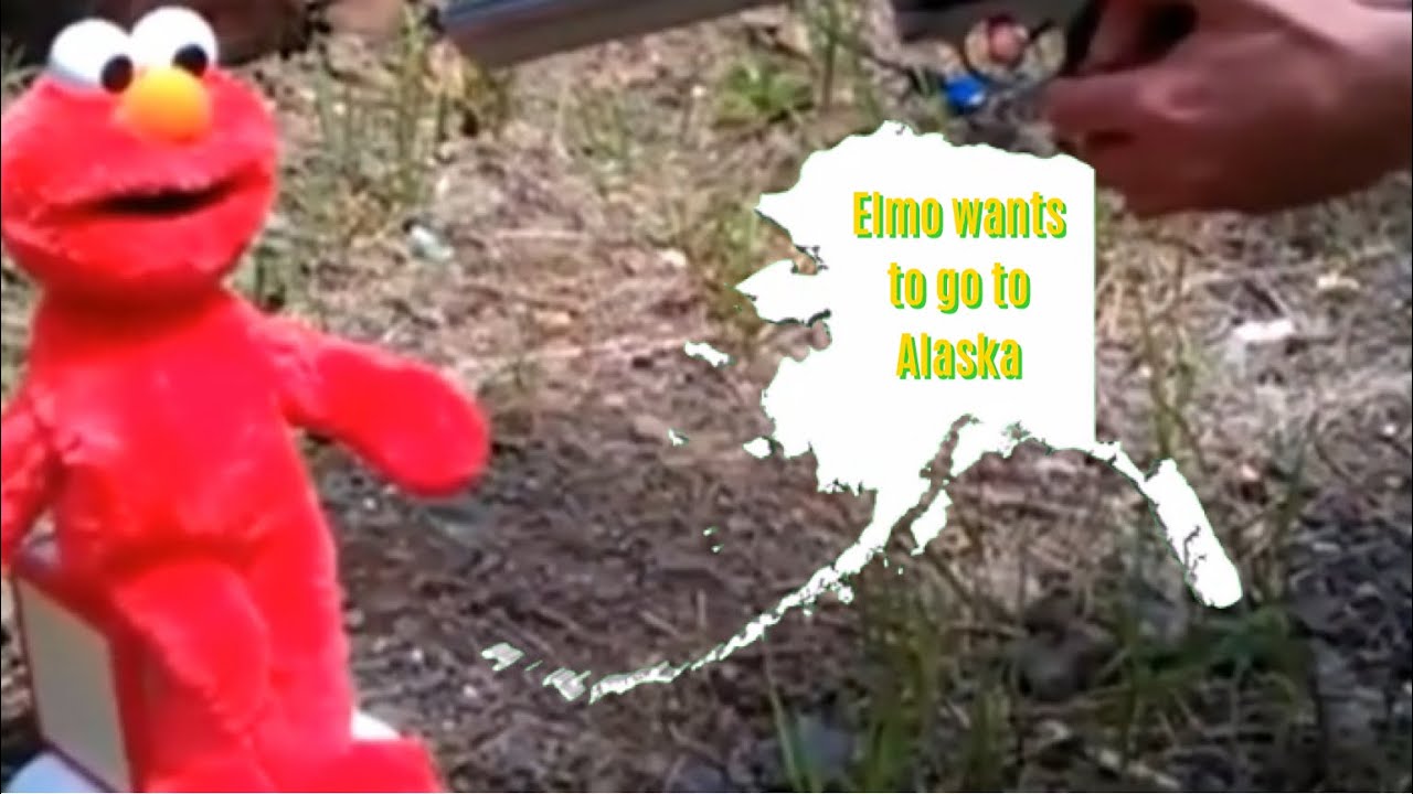 Elmo wants to go to Alaska - YouTube