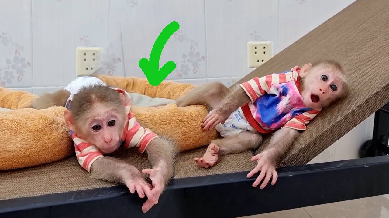 So Funny BeeBoy Is A Pro in Pretending That he Hardly Fall Asleep keep ...