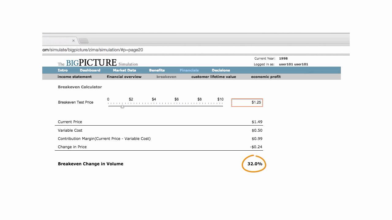 Big Picture Partners Simulation Demo - Zima - YouTube