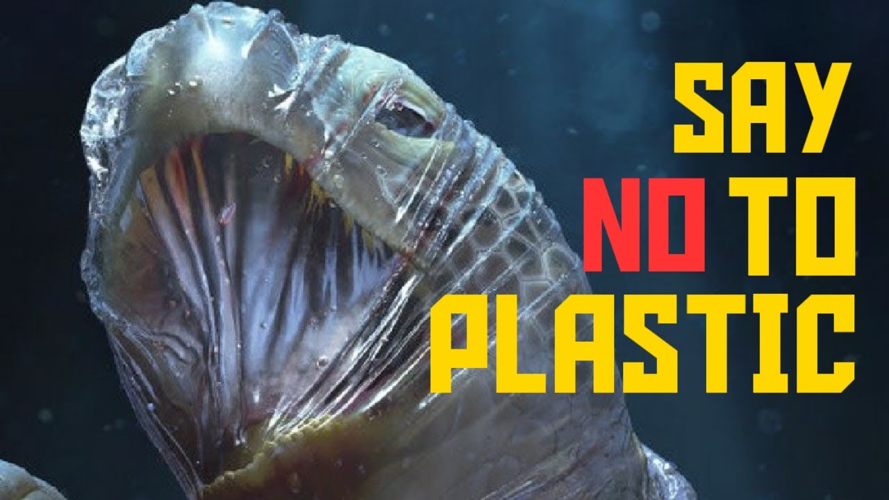 Heartbreaking Images That Show the Impact of Plastic on Animals - YouTube