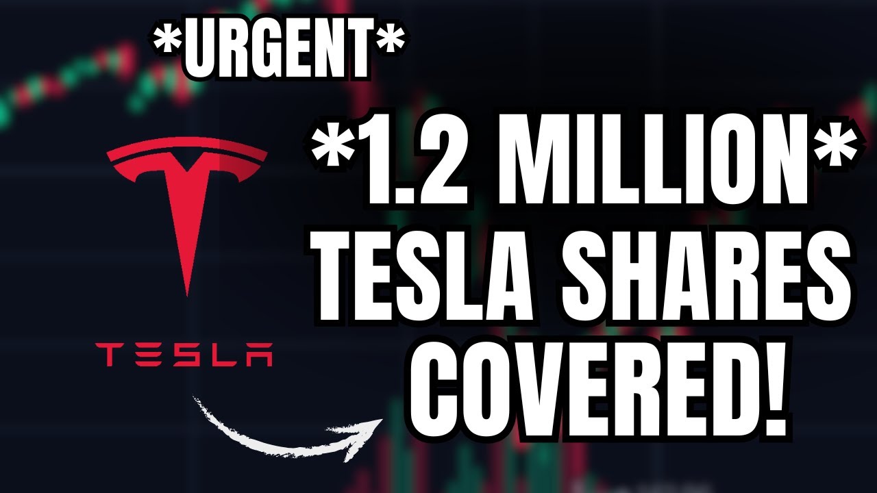 *SHOCKING* Tesla Stock News.. (Shorts are Covering Today) - YouTube