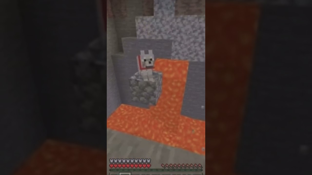 Ich helfe diesem armen Hund/Baba Luke YT - YouTube