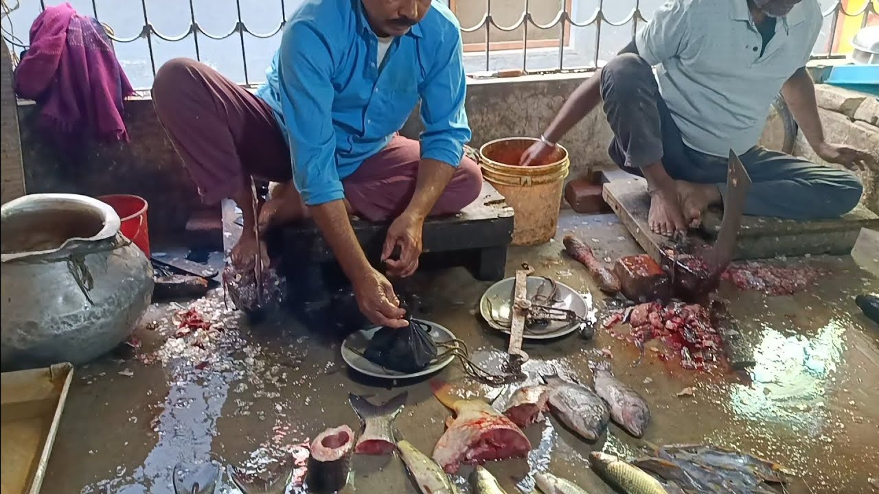 fish market and patuli big fish #biggfish #fishspecies #youtubeshorts # ...
