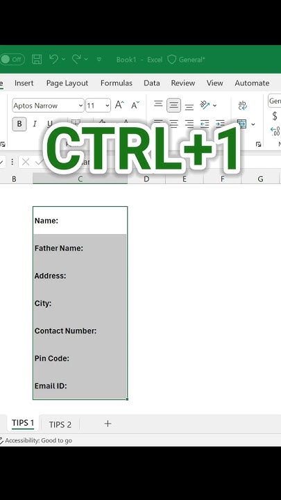 Custom Formatting Hacks in Excel | Advanced Excel Tips & Tricks - YouTube