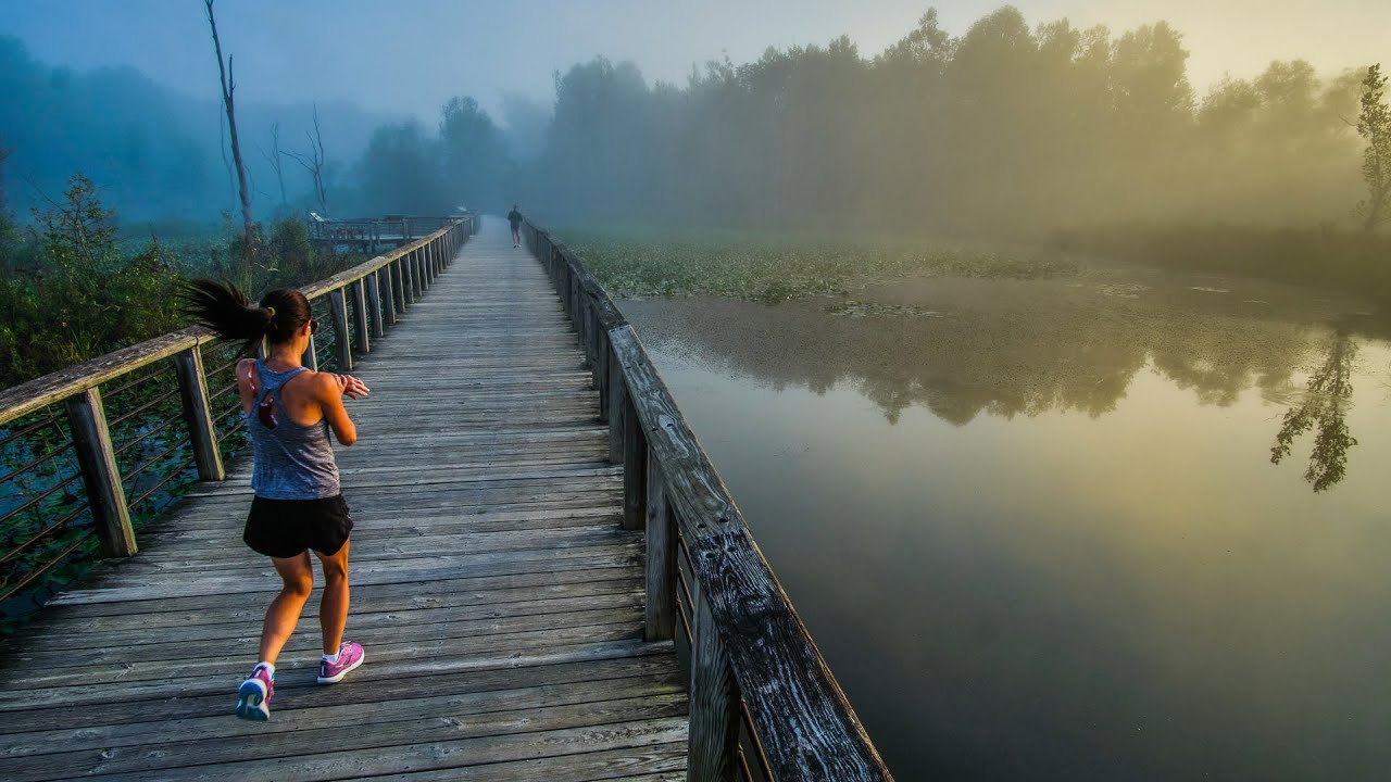 Sights and Sounds From the Beaver Marsh at Cuyahoga Valley National ...
