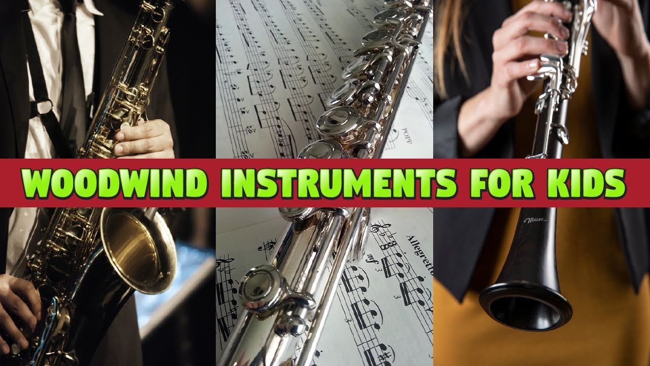 TOP WOODWIND MUSICAL INSTRUMENTS FOR KIDS - YouTube