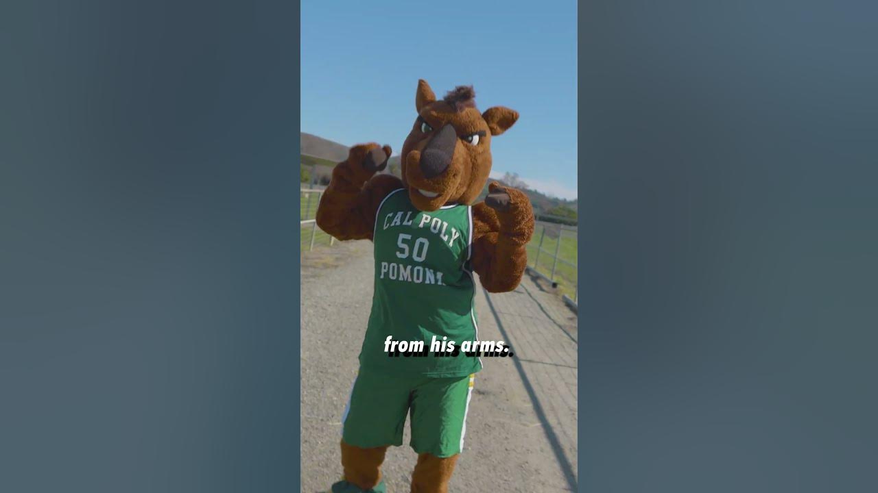 The Origin Story of Cal Poly Pomona Mascot Billy Bronco - YouTube
