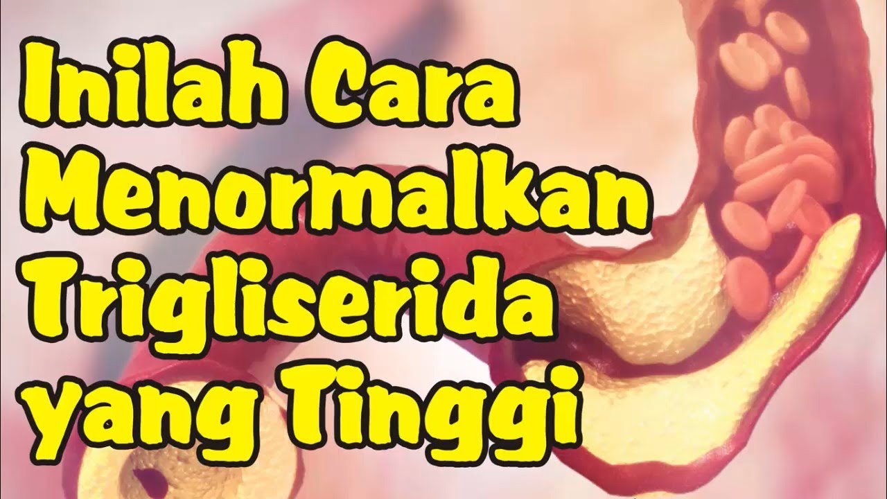 Cara Menormalkan Trigliserida Tinggi yang Ampuh - YouTube