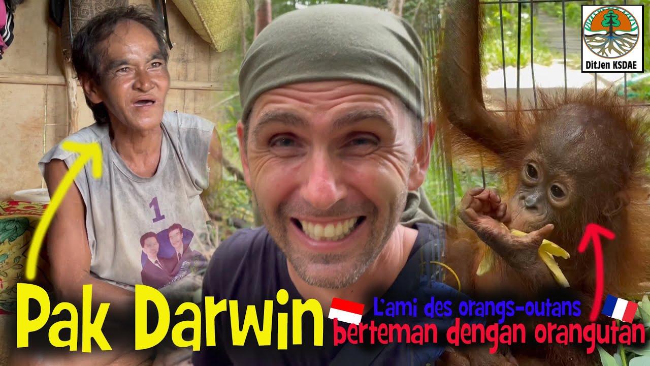 A la rencontre de Pak Darwin (L'AMI DES ORANGS-OUTANS !) - YouTube
