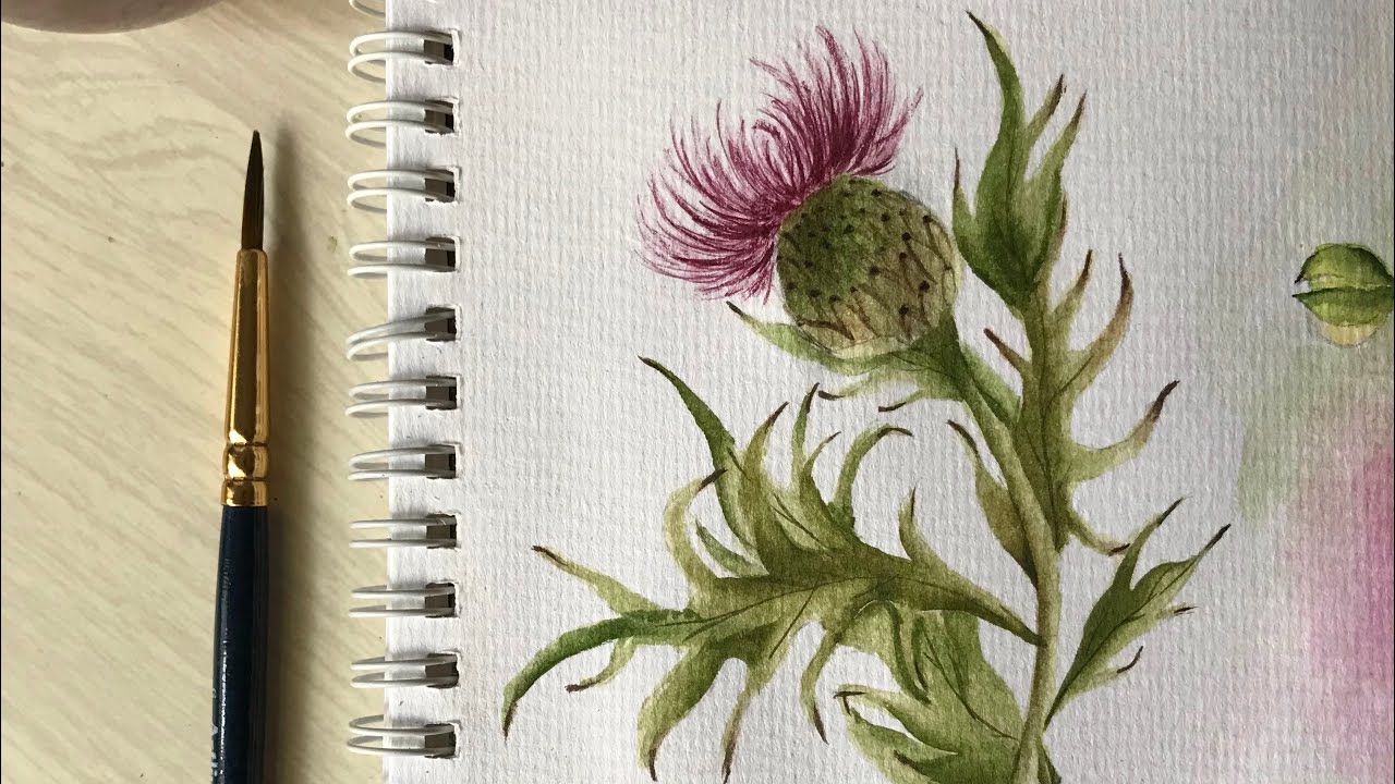 Create Easy And Simple Thistle Using Watercolour 🖌 - YouTube