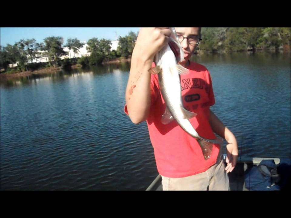 Nice fish on rattle traps - YouTube