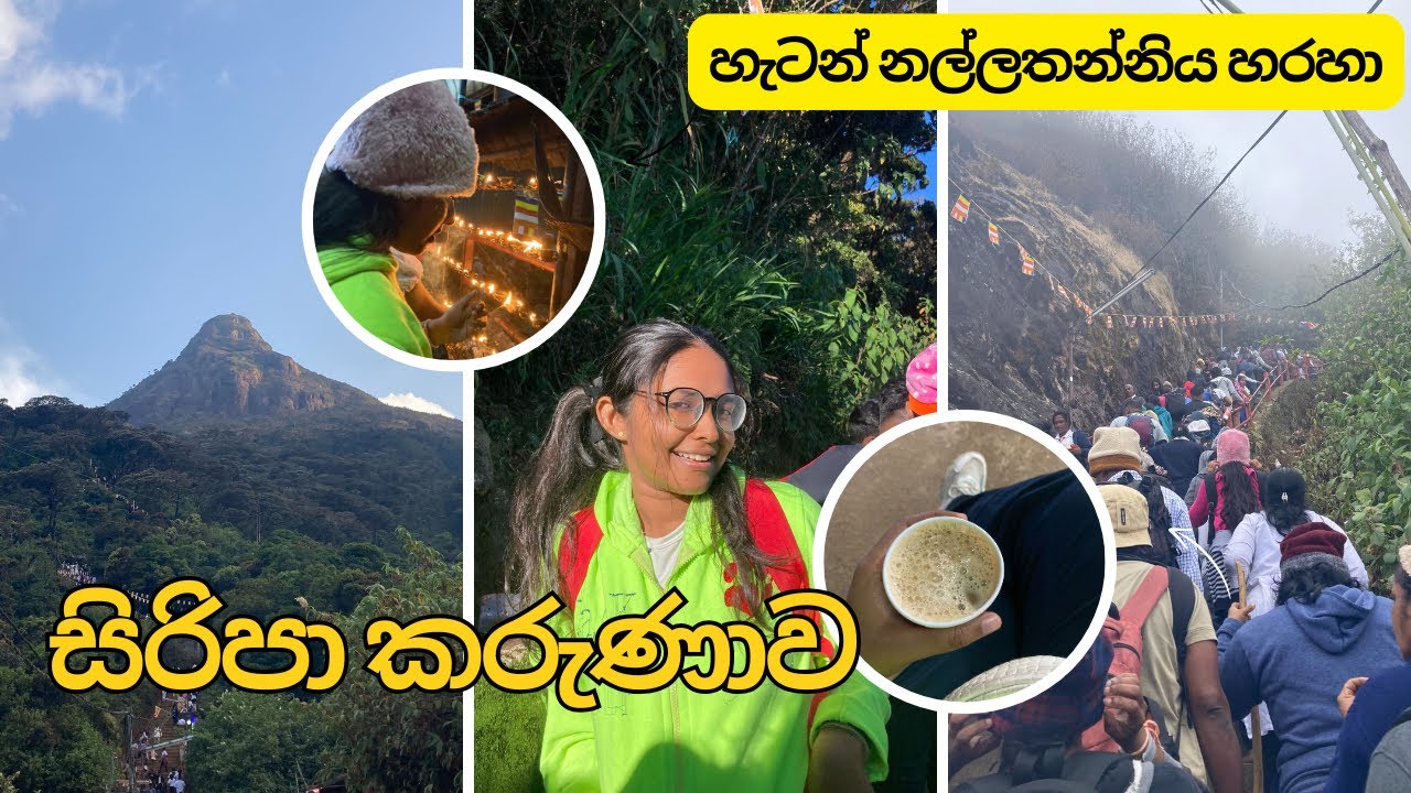 Sri Padaya🙏🏻🌼 | පැය 24 ගියපු අපේ සිරිපා ගමන | Hatton Nallatanniya Road ...