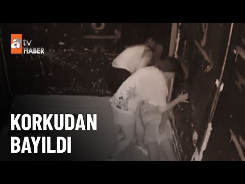 Korku evinde korkudan bayıldı - atv Ana Haber 27 Ağustos 2024