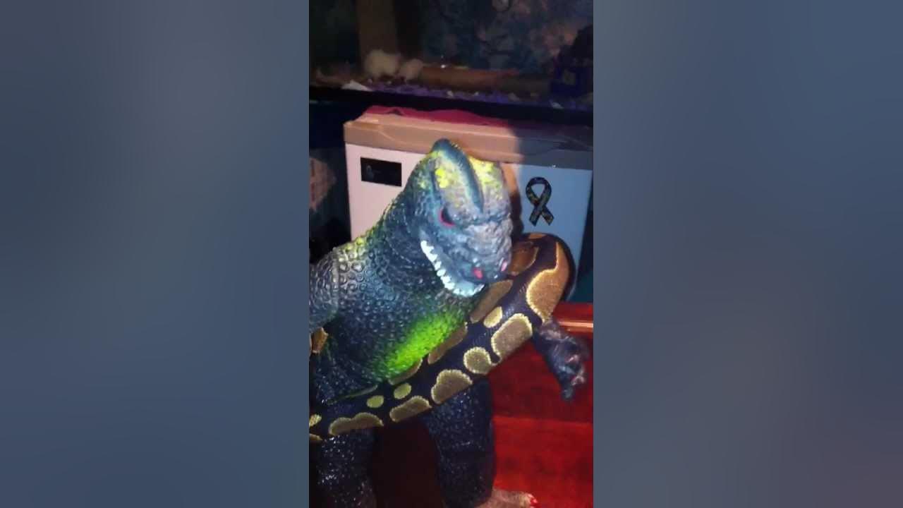 Godzilla vs. python - YouTube