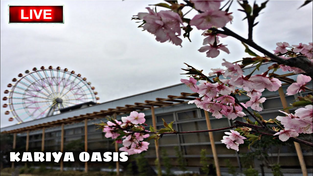 KARIYA HIGHWAY OASIS SIGHTSEEING #popularamusementfacility - YouTube