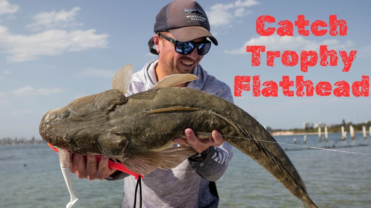 Rod & Reel setups for chasing Trophy Flathead - YouTube