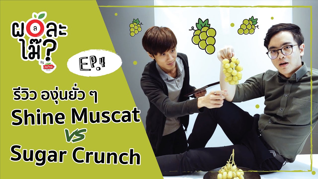 ผลละไม๊ | EP.4 รีวิวองุ่นยั่วๆ Shine Muscat VS Sugar Crunch - YouTube