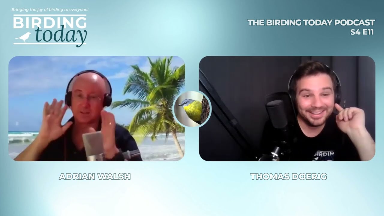 THE BIRDING TODAY PODCAST S4 E11 | Of Greenshanks & Ruffs | ADRIAN ...