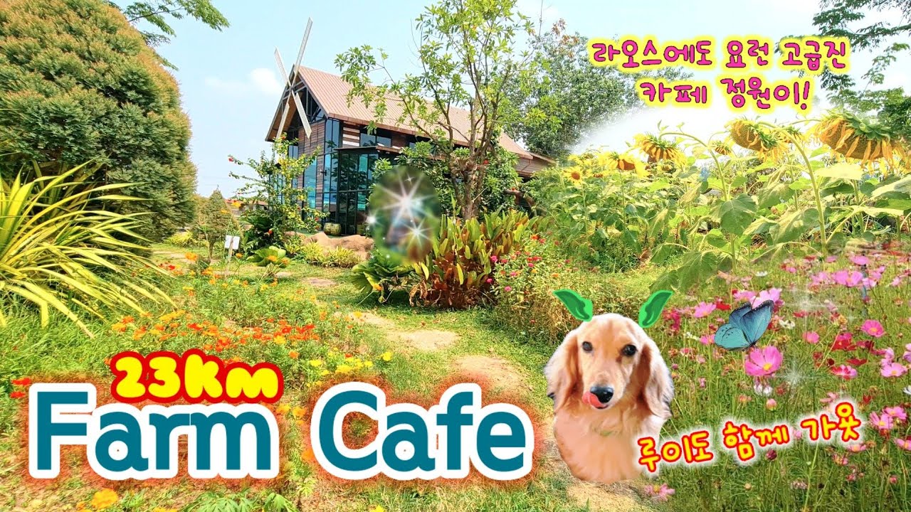 Ep.209 23km Farm Café를 가다 | Visit 23km Farm Café with beautiful garden ...