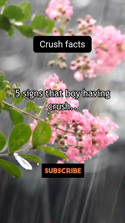 5 signs that a boy 💗 having crush 🥰 #shorts #love #motivation #pyschologyfacts#psychology #crush ...