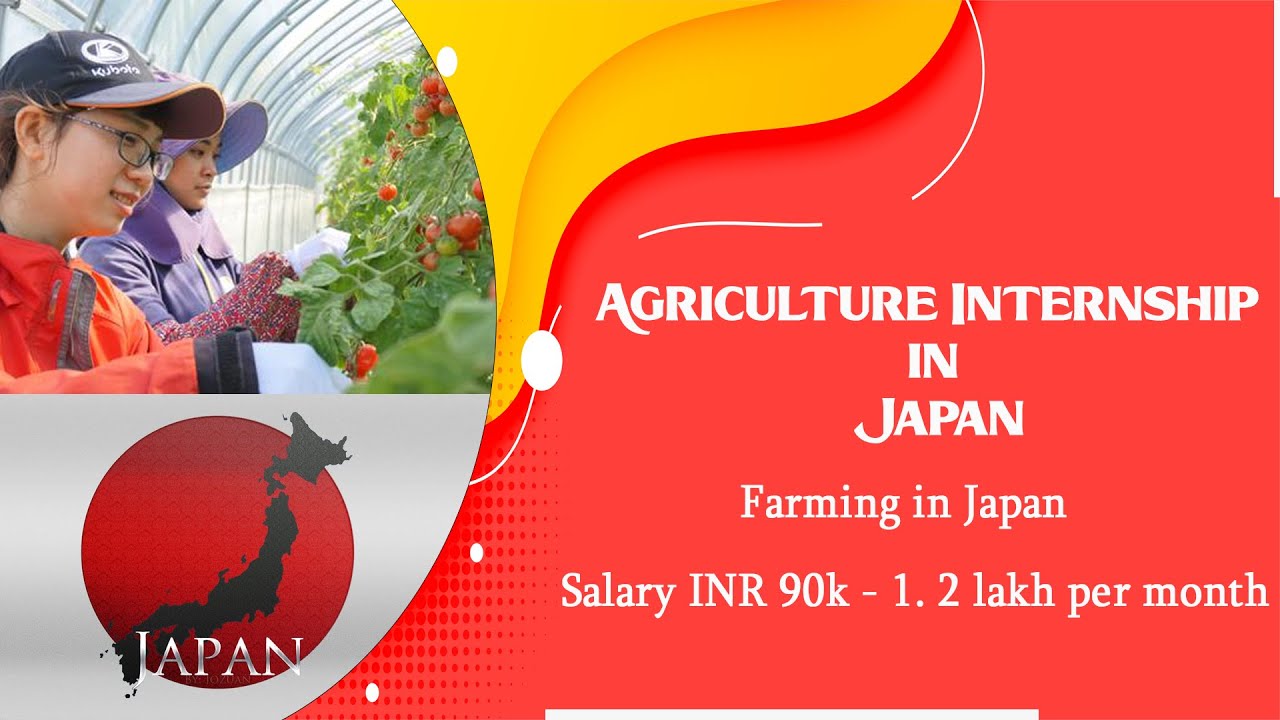 Agriculture Internship in Japan I Farming in Japan I Salary INR 90k ~1 ...