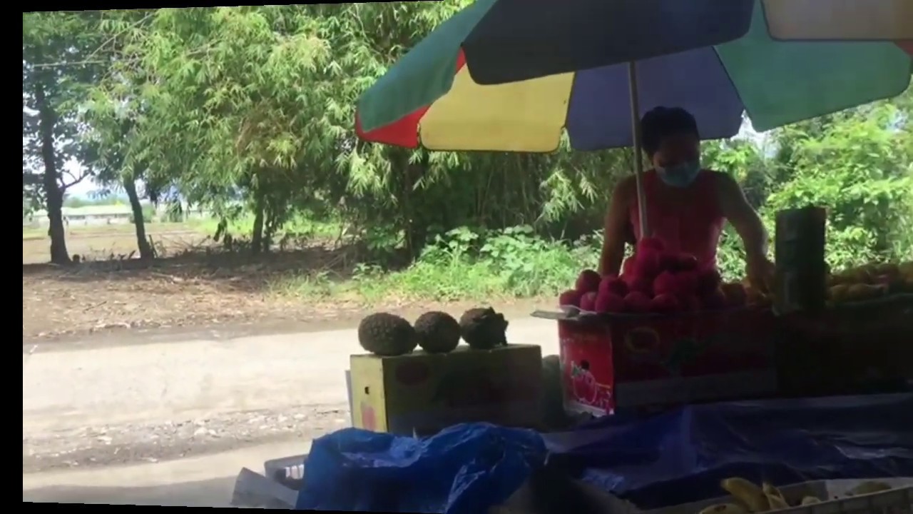 BUYING FRUITS IN LOCAL SHOP BUTUAN CITY PHILLIPINES - YouTube