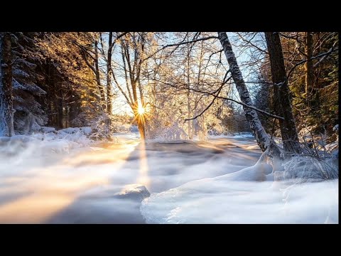 Very nice new nature whatsapp status video || Nature love || Sunrise fog video