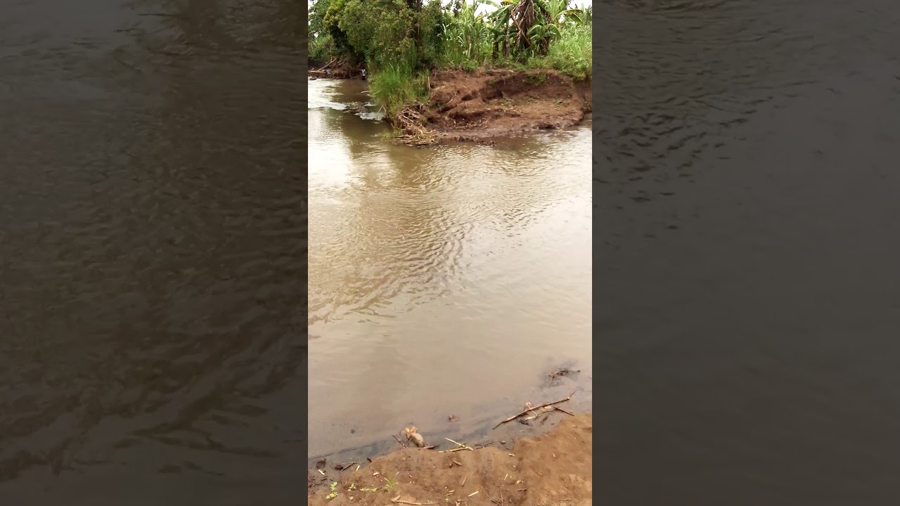 River Sironko - YouTube