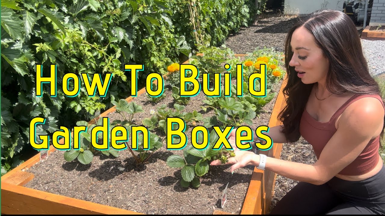 How To Build Raised Garden Boxes | Easy DIY Project - YouTube