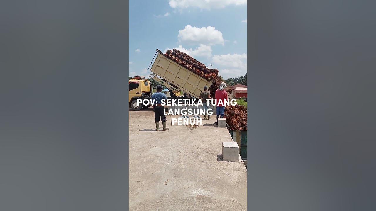 Sampai berjatuhan di bawah #truksawit #truk #viral #fyp #trending #shorts #kerjasawit #kulisawit ...