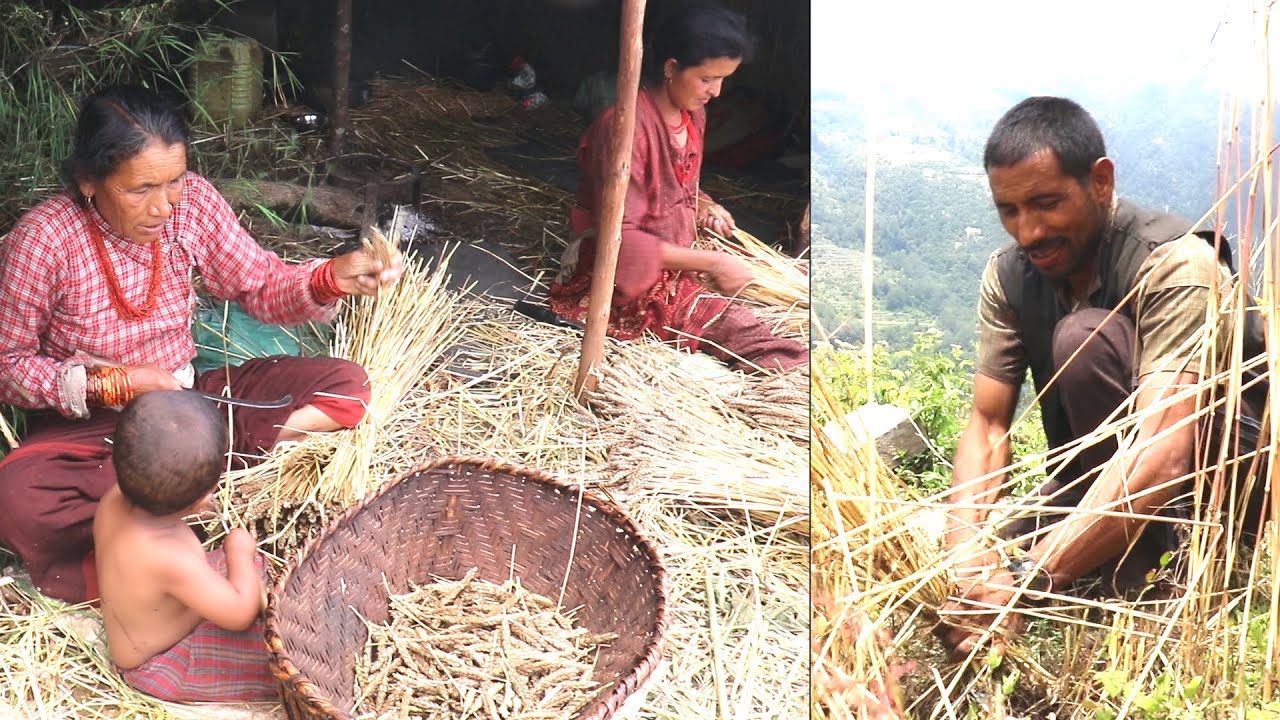 Life into the rural Nepal || herds life in the jungle | - YouTube