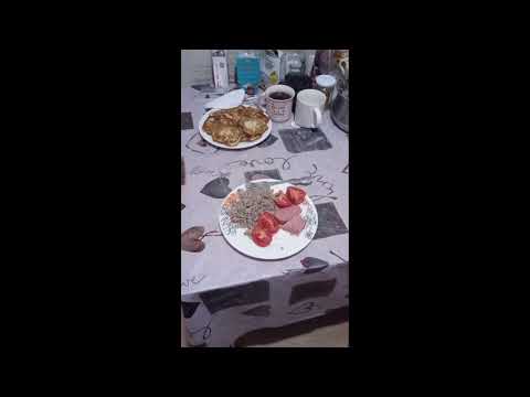 Anniversary. My cat turns 10 years old - YouTube