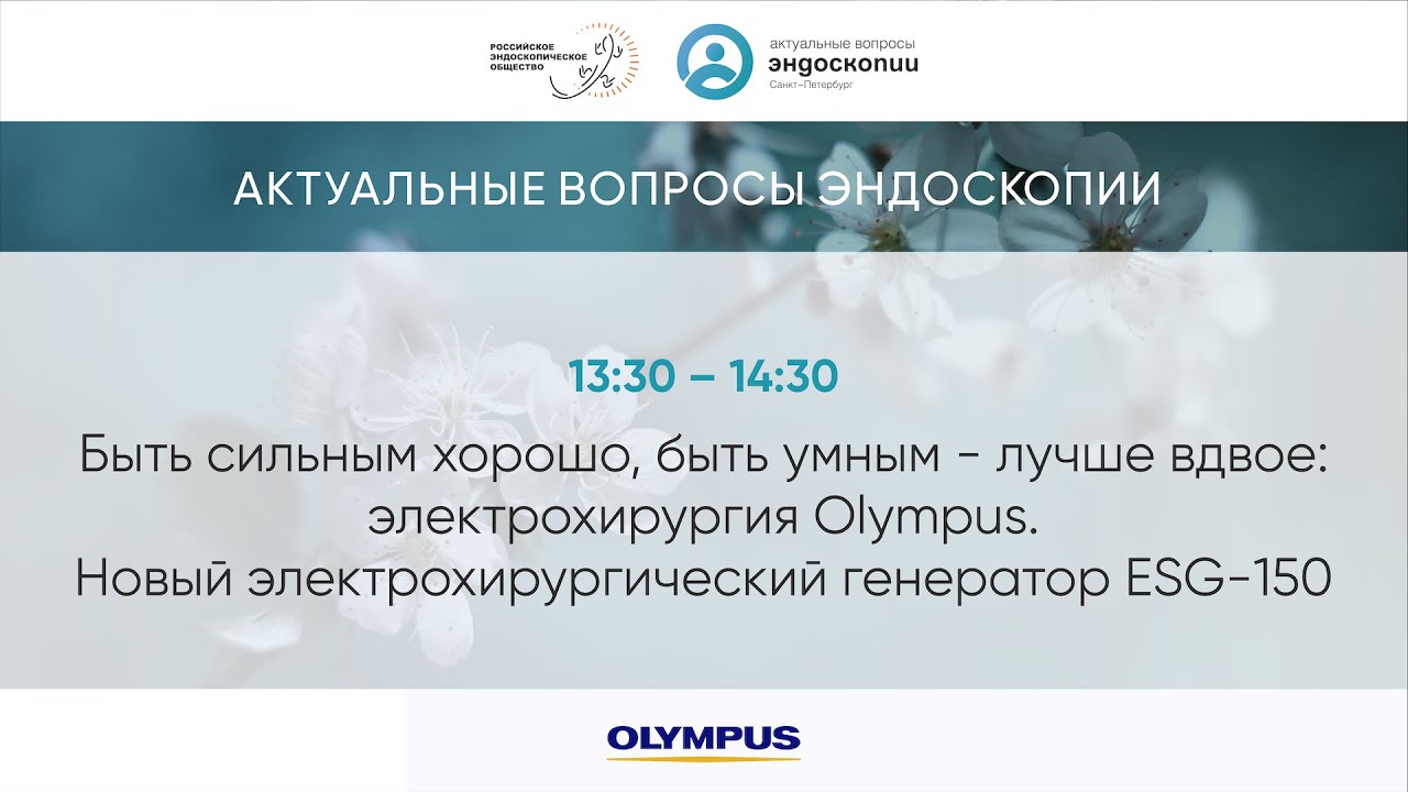 Быть сильным хорошо, быть умным - лучше вдвое: новый ...