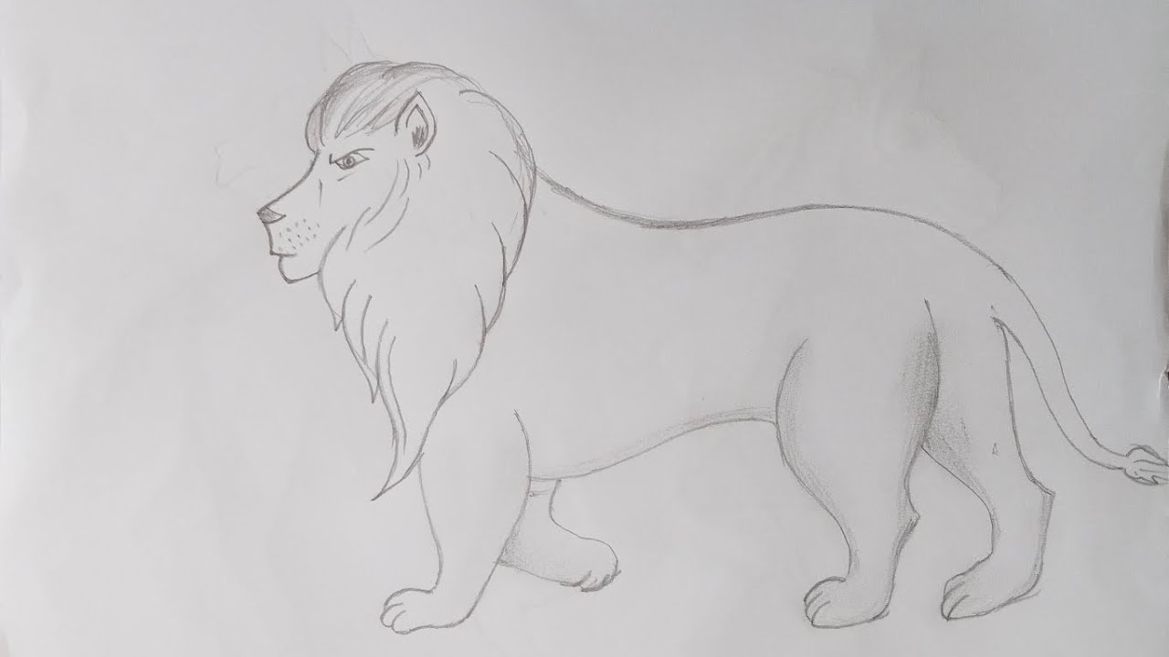 How to draw Lion 🦁 step by step | Sher ka chitra kaise banaye | Lion ...