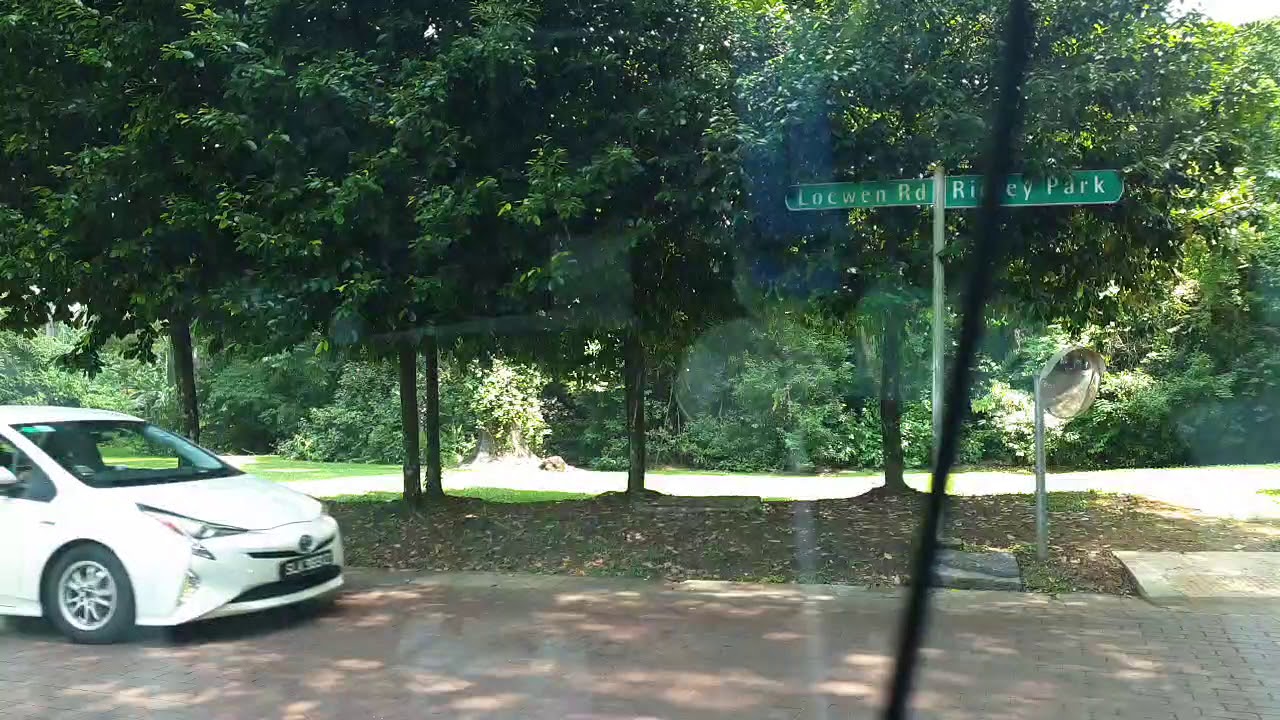 29/10/19 12:00 PM (75E Loewen Rd, 248845) - YouTube