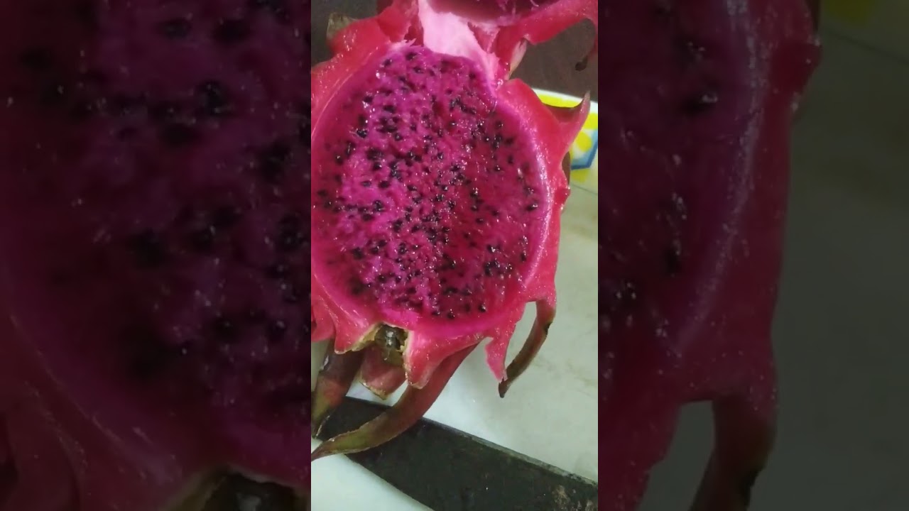 Dissection of Dragon fruit. - YouTube