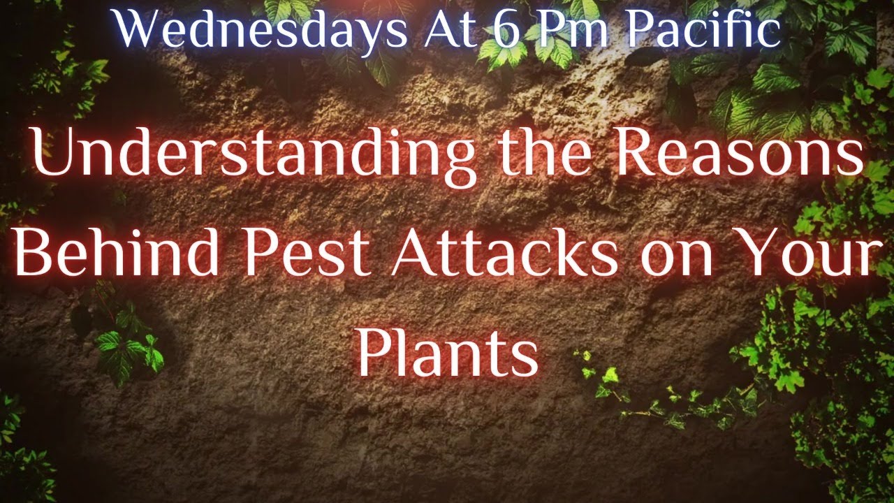 Understanding the Reasons Behind Pest Attacks on Your Plants - YouTube