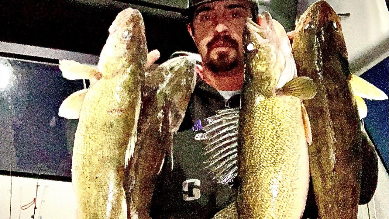 Big walleye @ van hook North Dakota - YouTube