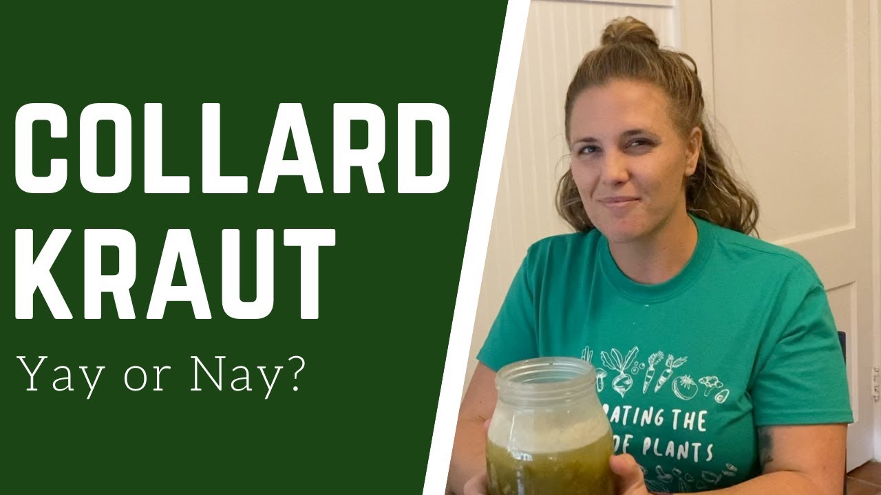 Collard Kraut Taste Test [How to make Collard Kraut & the results ...