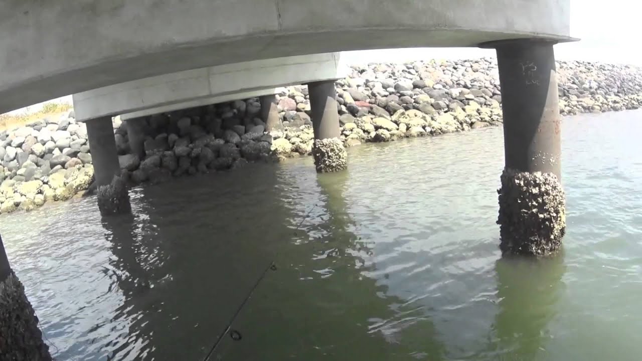 Fishing in Champerico Guatemala - YouTube